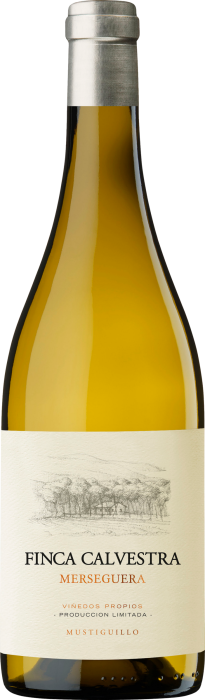 Finca Calvestra Merseguera - Wijnimport J.Bart